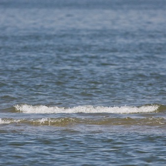 Grundsee | Harald Blazy